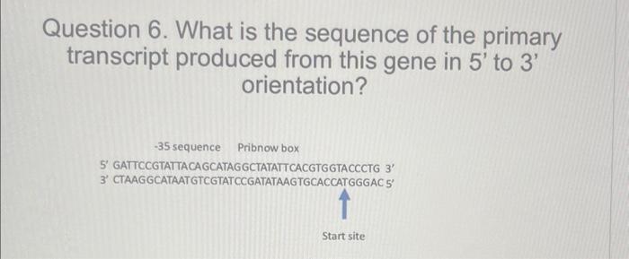 Solved Question 6. What is the sequence of the primary | Chegg.com