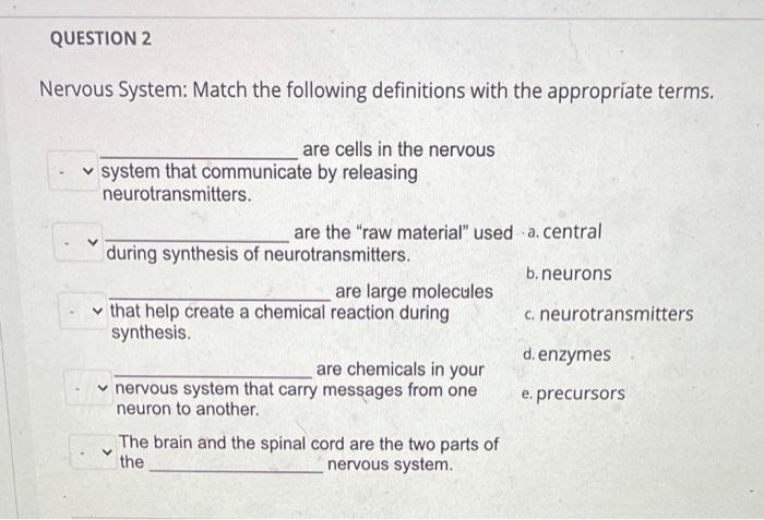 Solved QUESTION 2 Nervous System: Match the following | Chegg.com