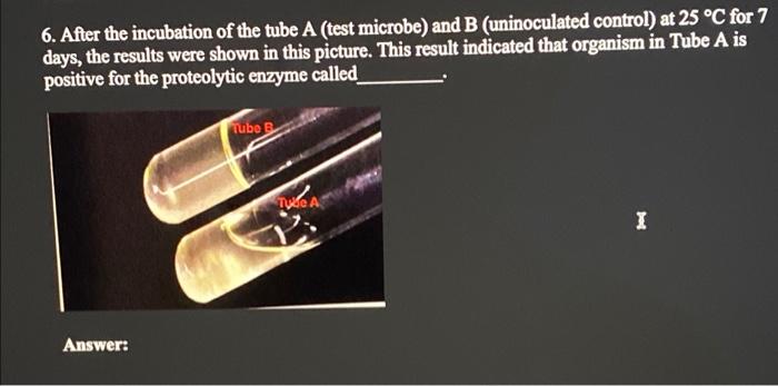 Solved 6. After the incubation of the tube A (test microbe) | Chegg.com