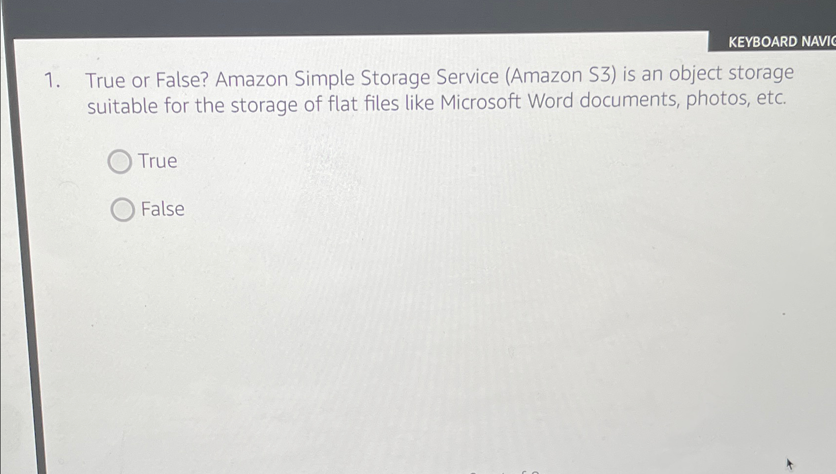 Solved True or False? Amazon Simple Storage Service (Amazon | Chegg.com