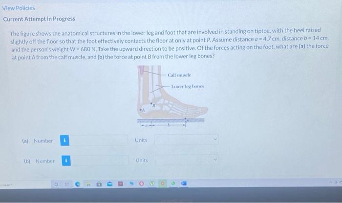 Solved View Policies Current Attempt in Progress The figure | Chegg.com