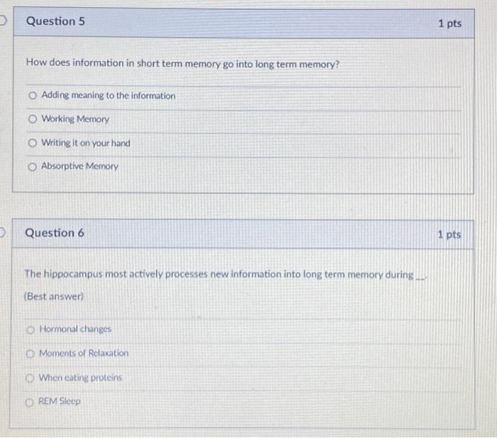 Solved How does information in short term memory go into | Chegg.com