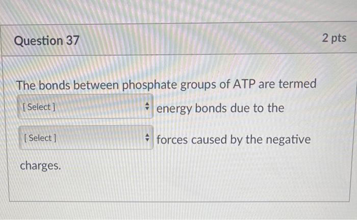 Solved The bonds between phosphate groups of ATP are termed | Chegg.com