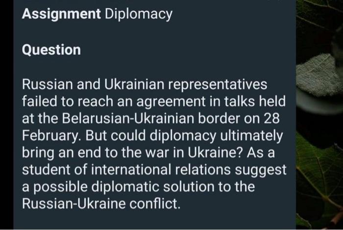 Solved Assignment Diplomacy Question Russian and Ukrainian | Chegg.com
