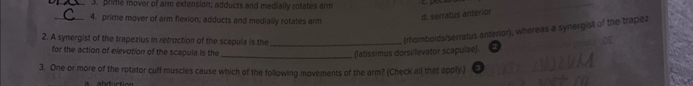 Solved A synergist of the trapezius in retraction of the | Chegg.com
