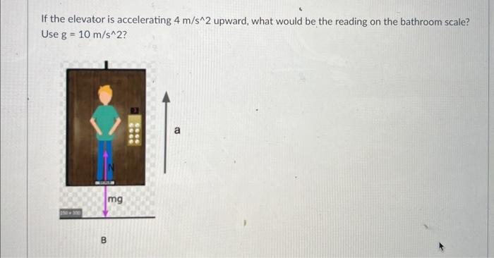 Solved If the elevator is accelerating 4 m/s∧2 upward, what | Chegg.com