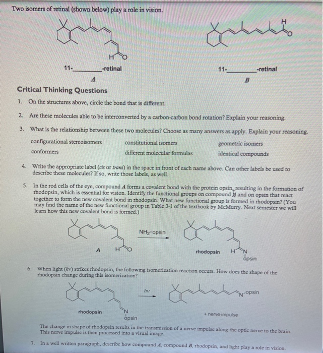 Solved Two isomers of retinal (shown below) play a role in | Chegg.com