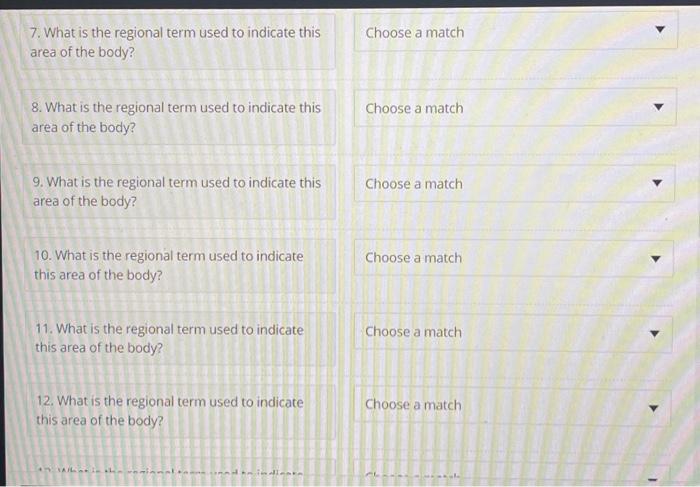 Solved \r\n1. What is the regional term used to indicate | Chegg.com