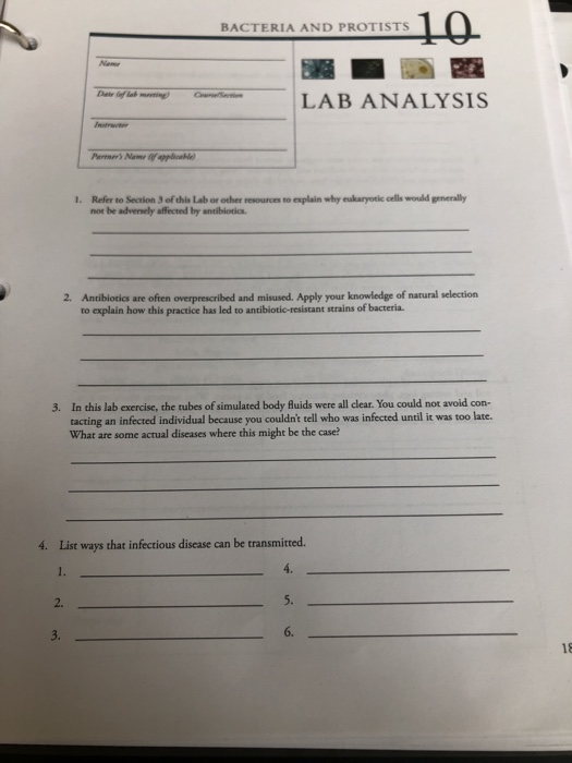 Solved BACTERIA AND PROTISTS ROTISTS 10 LAB ANALYSIS 1. | Chegg.com