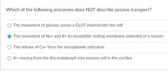 Solved Which of the following processes does NOT describe | Chegg.com