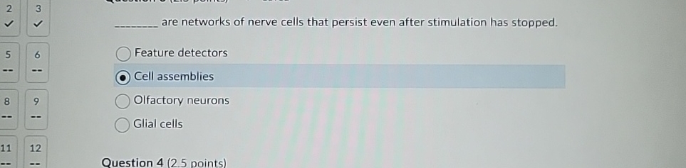 Solved are networks of nerve cells that persist even after | Chegg.com