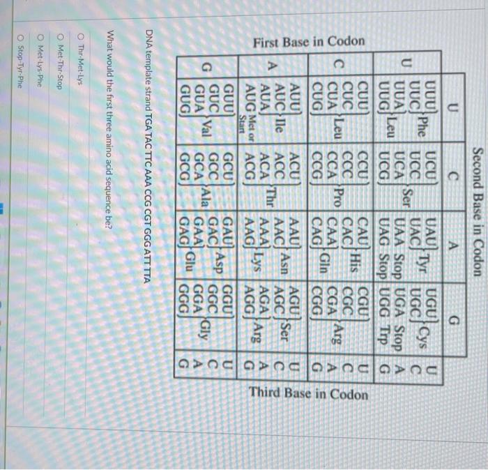 Solved Second Base in Codon DNA template strand TGA TAC TTC | Chegg.com