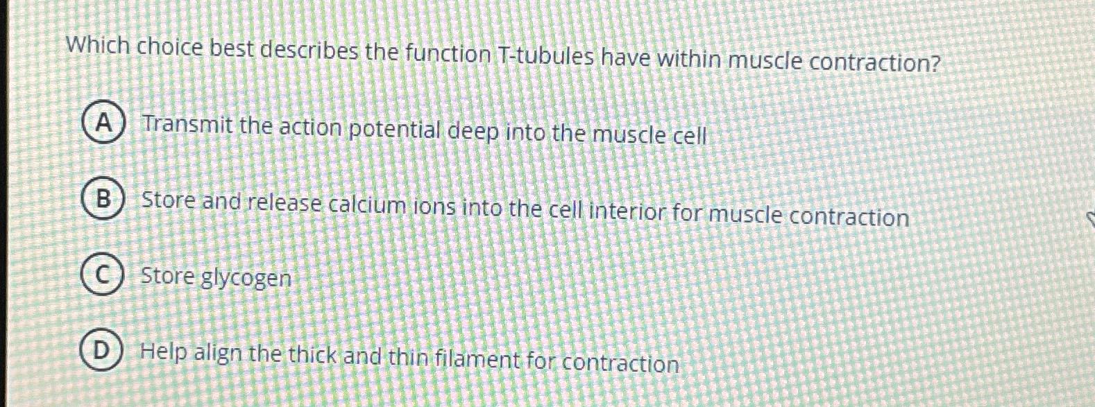 Solved Which choice best describes the function T-tubules | Chegg.com