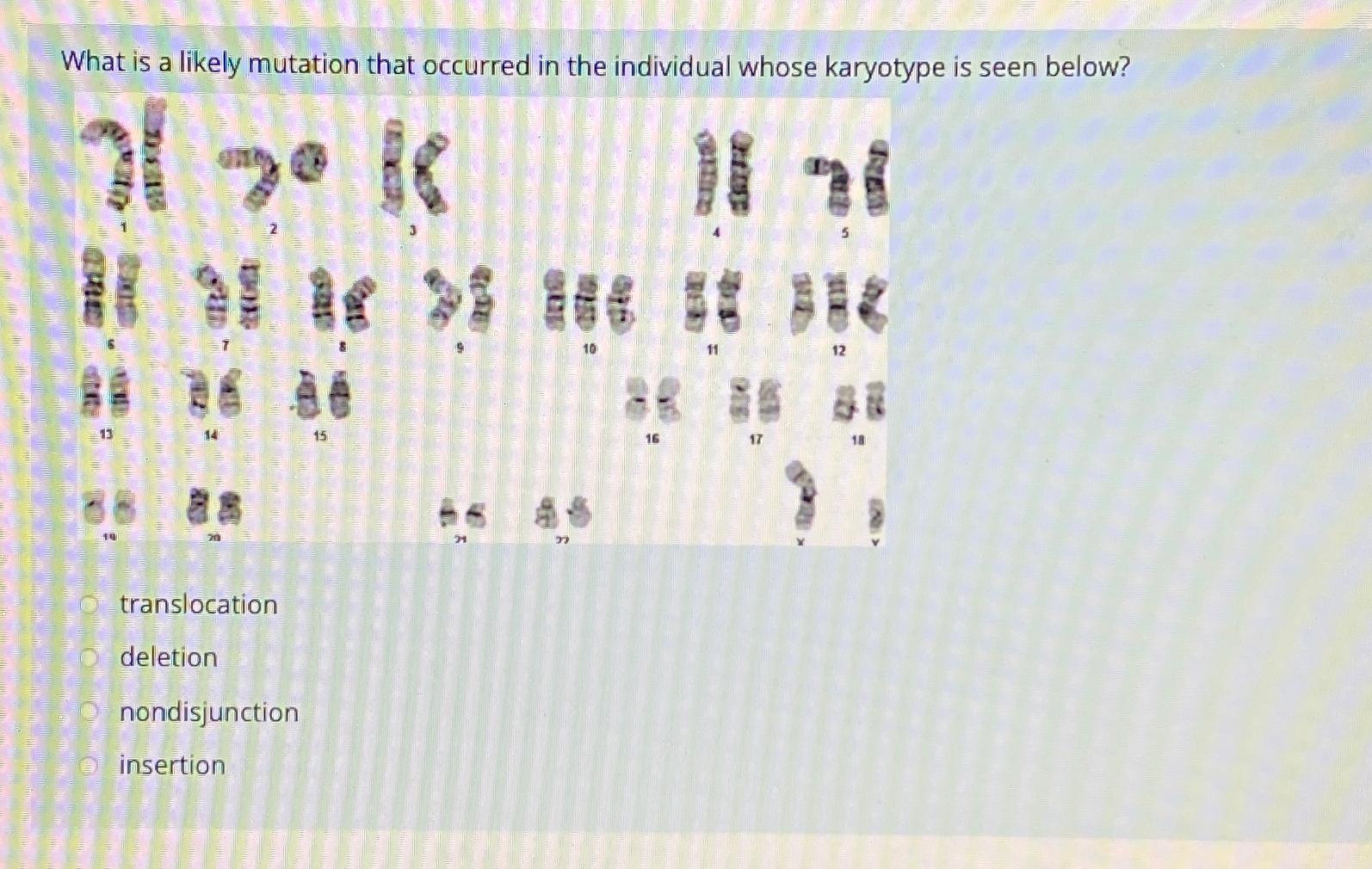 Solved What is a likely mutation that occurred in the | Chegg.com