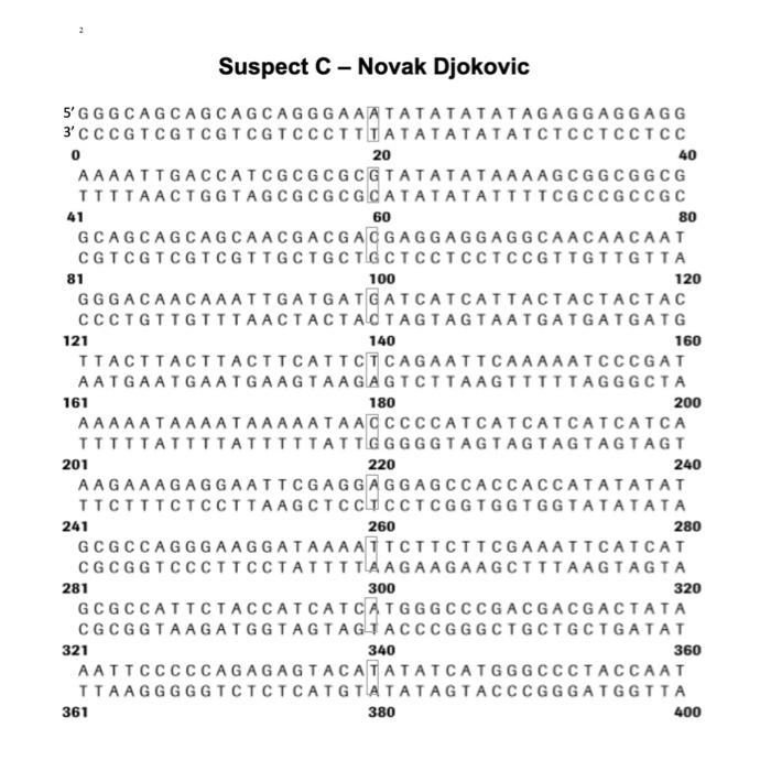 Solved Suspect C - Novak Djokovic 5' | Chegg.com