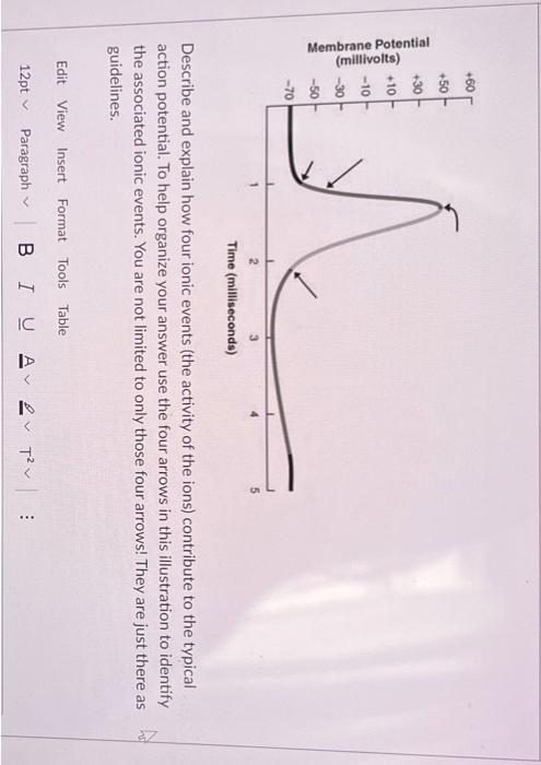 Describe and explain how four ionic events (the | Chegg.com