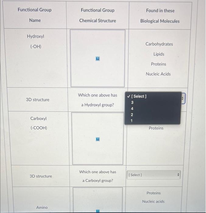 Solved Functional Group Name Hydroxyl (-OH) 3D structure | Chegg.com