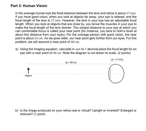 Solved Part 3: Human Vision In the average human eye the | Chegg.com