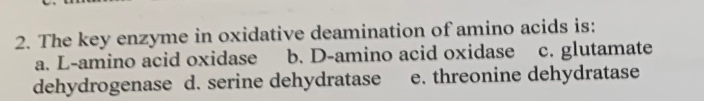 Solved The key enzyme in oxidative deamination of amino | Chegg.com