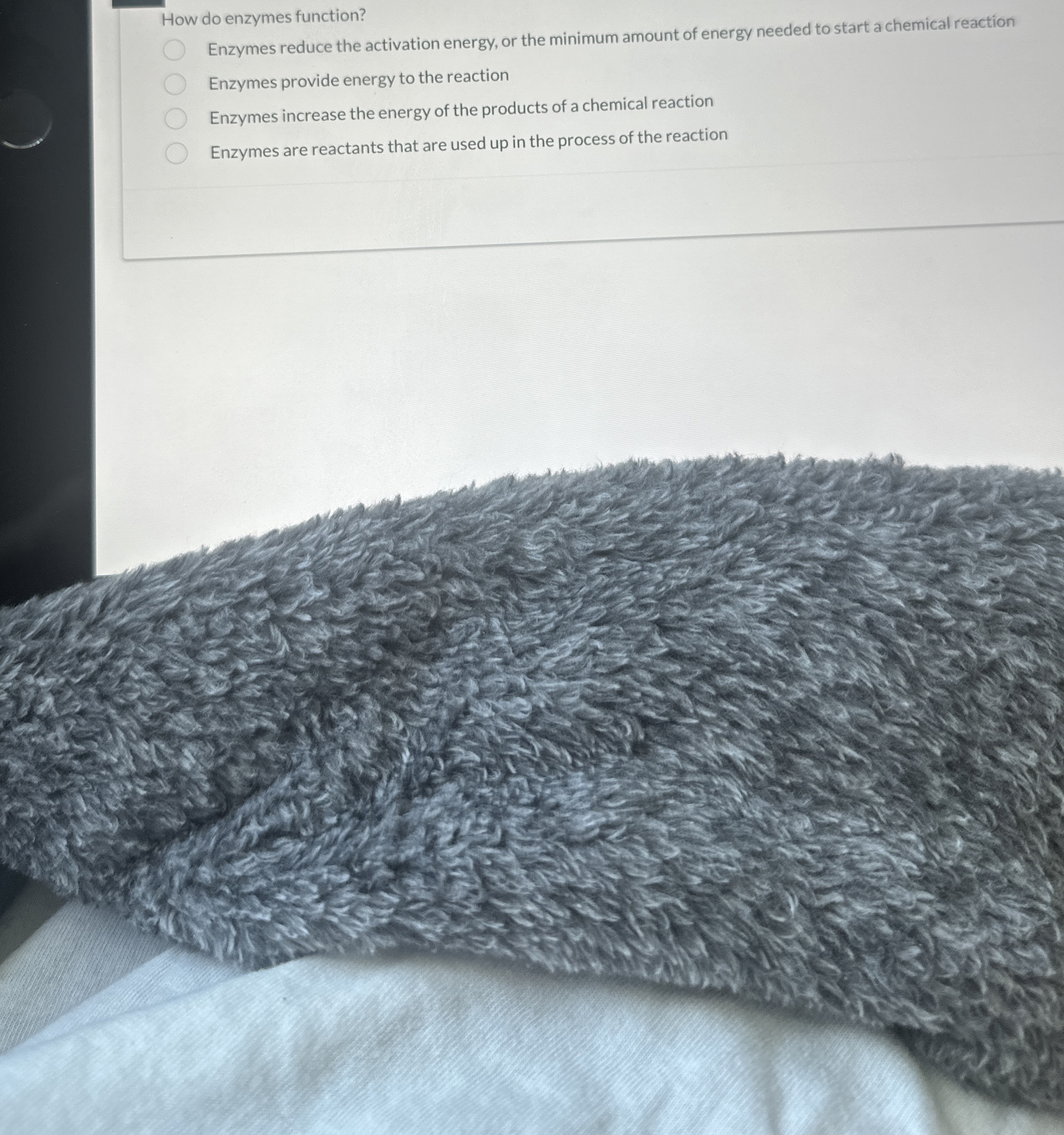 Solved How do enzymes function?Enzymes reduce the activation | Chegg.com