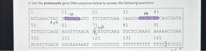 Solved not sure where to start the polypeptide sequence for | Chegg.com