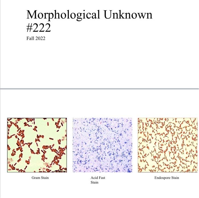 Solved UNKNOWN SAMPLE IDENTIFICATION FORM UNKNOWN \#1: Using | Chegg.com