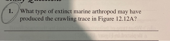 Solved 2. What sequences of events occurred on the ocean | Chegg.com