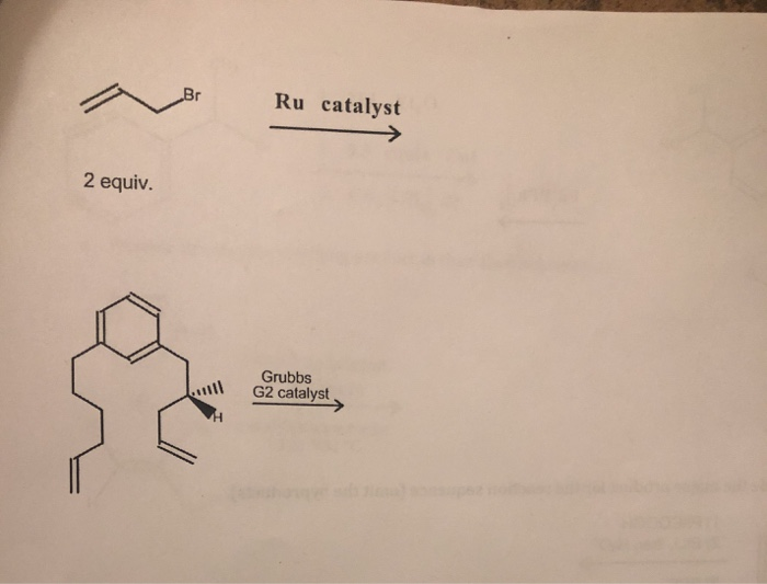 Solved Provide the major product for the reaction sequence | Chegg.com