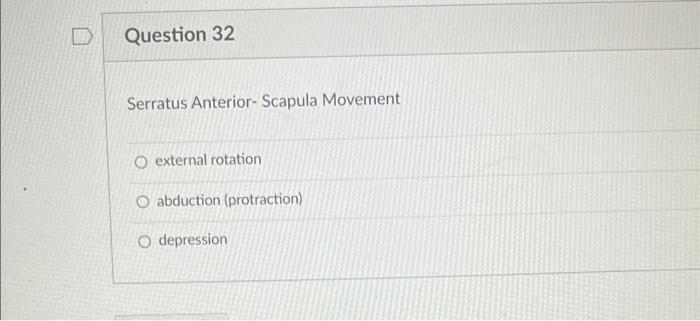 Solved Serratus Anterior-Scapula Movement external rotation | Chegg.com