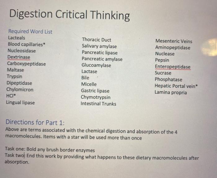 Solved Digestion Critical Thinking Required Word List | Chegg.com
