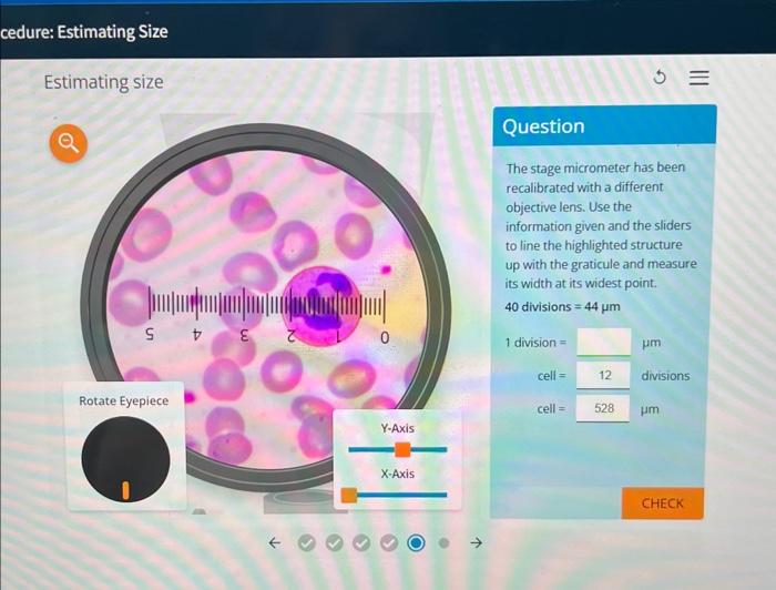 Solved Estimating size Question The stage micrometer has | Chegg.com