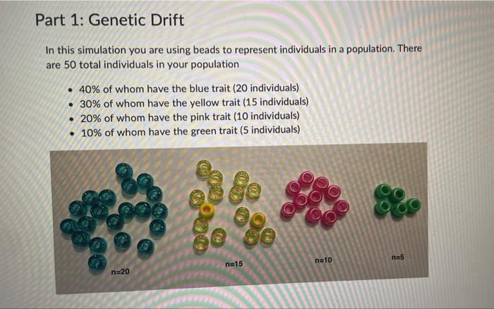 Solved Part 1: Genetic Drift In this simulation you are | Chegg.com