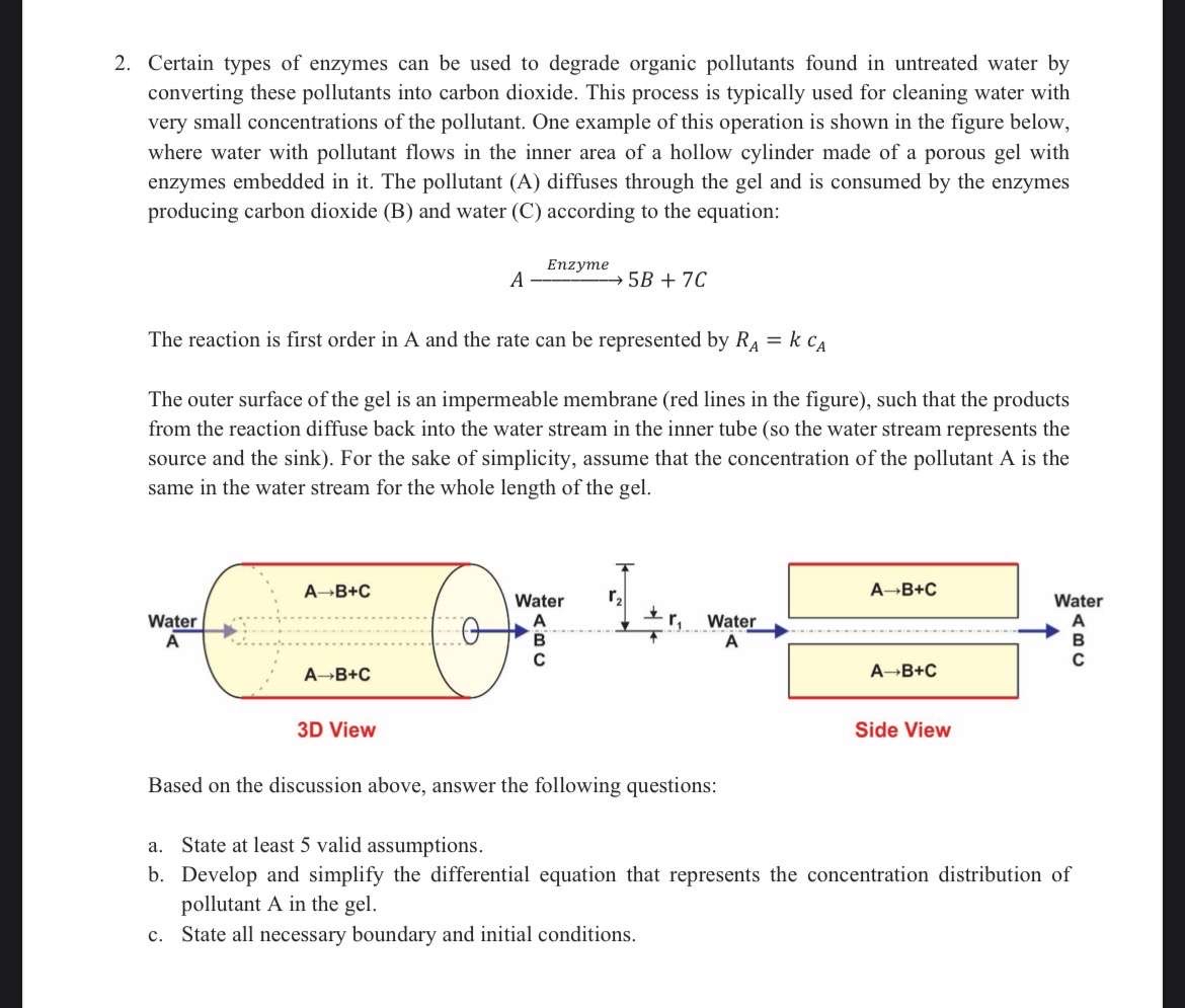 Solved Certain types of enzymes can be used to degrade | Chegg.com