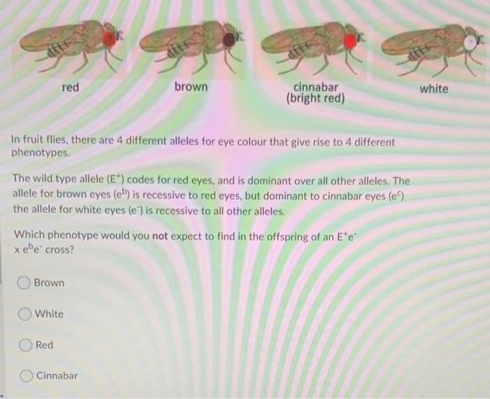 Solved atte Tith red brown cinnabar (bright red) white In | Chegg.com