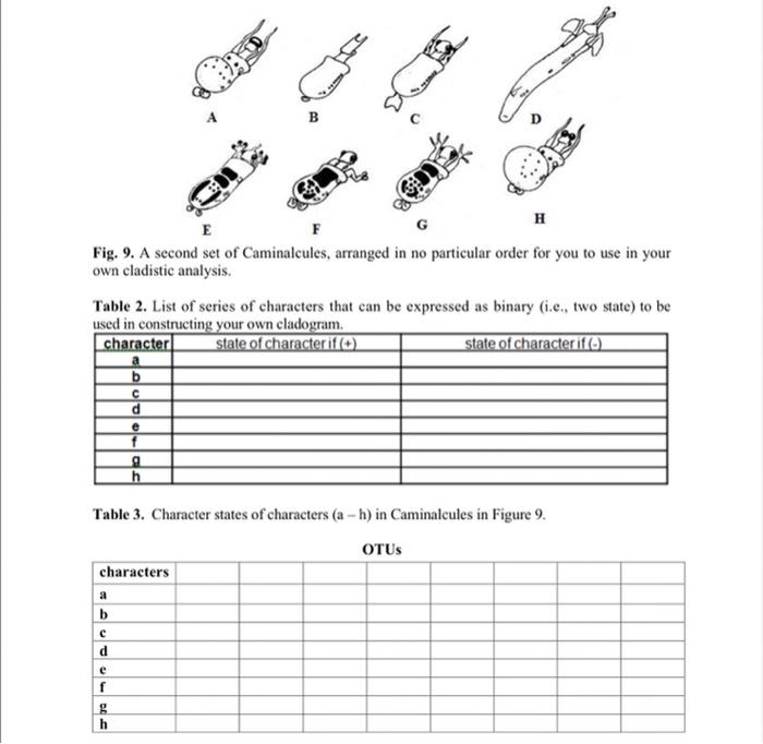 Solved Using the Caminalcules Set 2 shown in Figure 9, use | Chegg.com