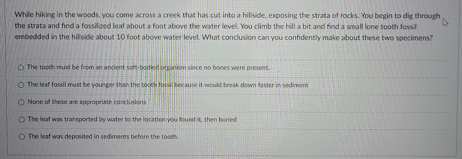 Solved Some species of fish are known to exhibit filial | Chegg.com