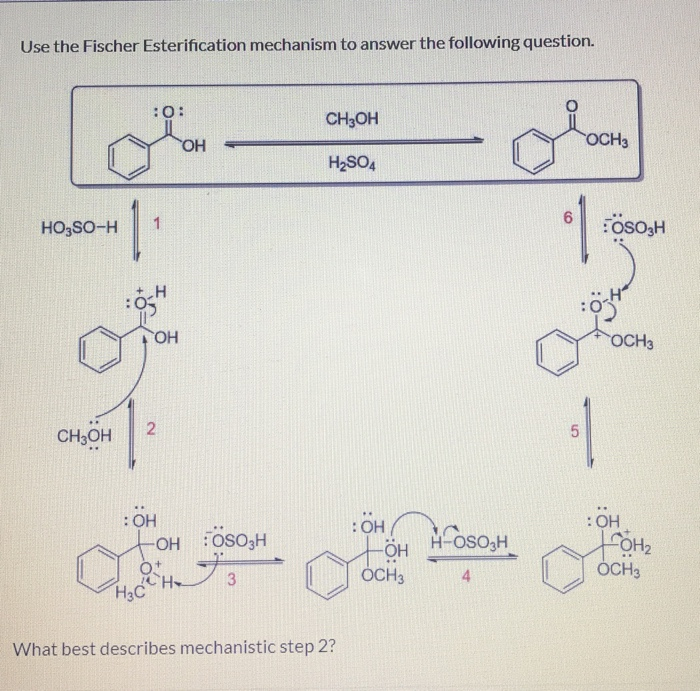 Solved Use the Fischer Esterification mechanism to answer | Chegg.com