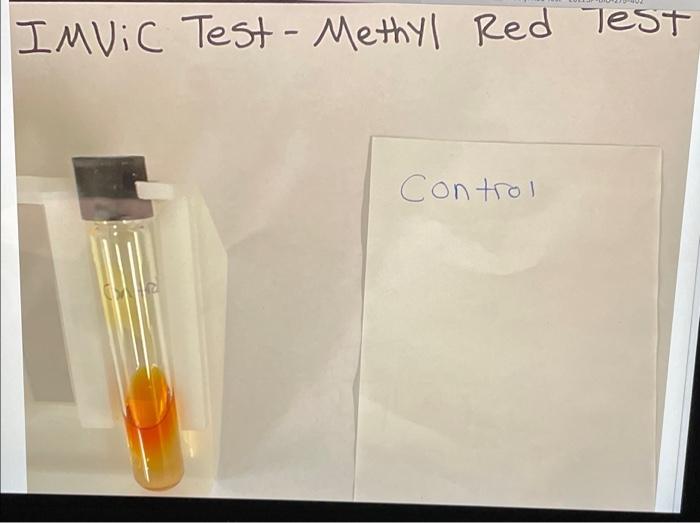 Solved PART B: Methyl Red Test and Voges-Proskauer Test | Chegg.com