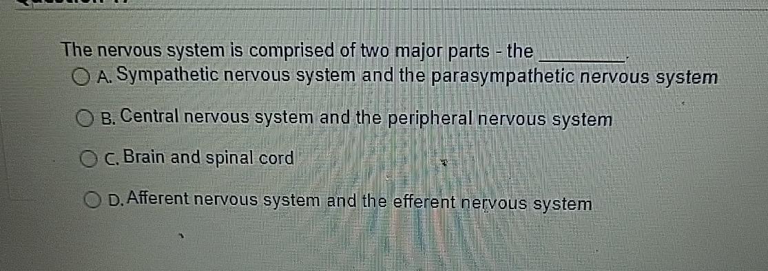 Solved The nervous system is comprised of two major parts - | Chegg.com