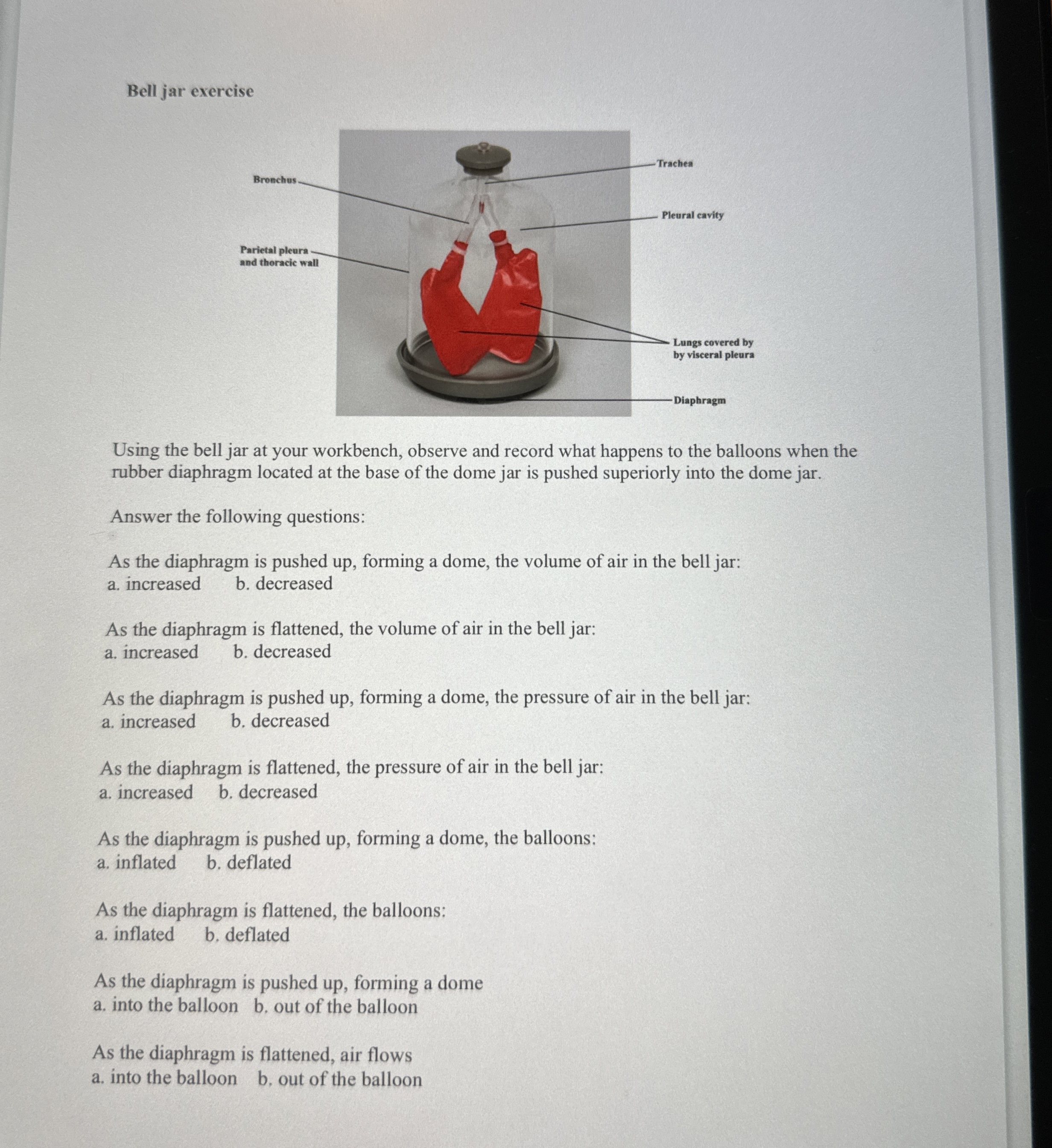 Solved Bell jar exerUsing the bell jar at your workbench, | Chegg.com