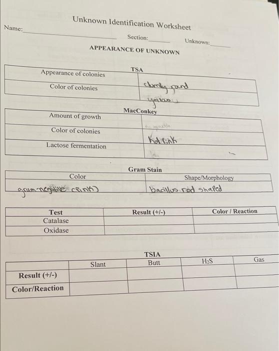 based on the lab results. What would the results be | Chegg.com