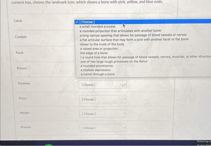 Solved Match the following bone markings with the correct | Chegg.com