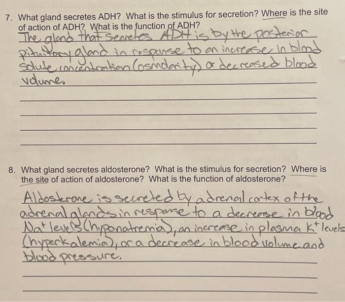 Solved What Gland Secretes Adh What Is The Stimulus For Chegg