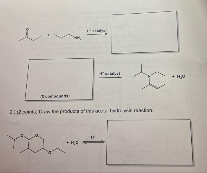 Solved H* catalyst NH2 H* catalyst + H20 (2 compounds) 2.) | Chegg.com
