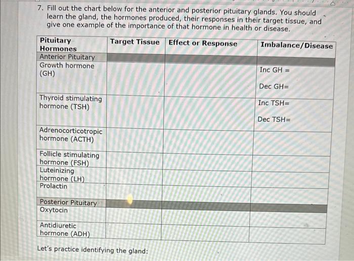 Solved 7. Fill out the chart below for the anterior and | Chegg.com