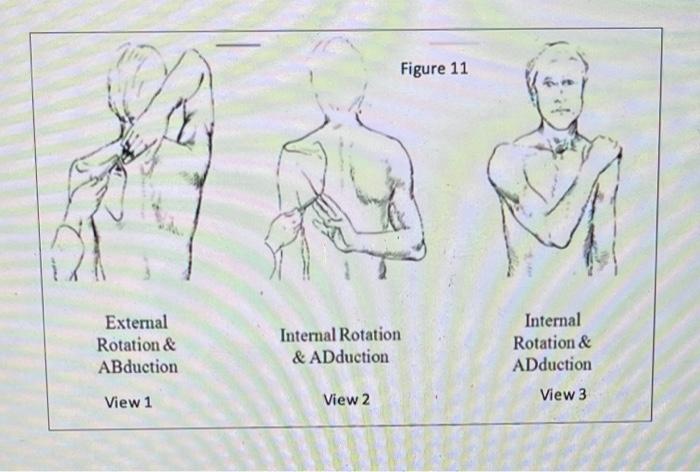 Solved Steve, a 29 year old male professional baseball | Chegg.com