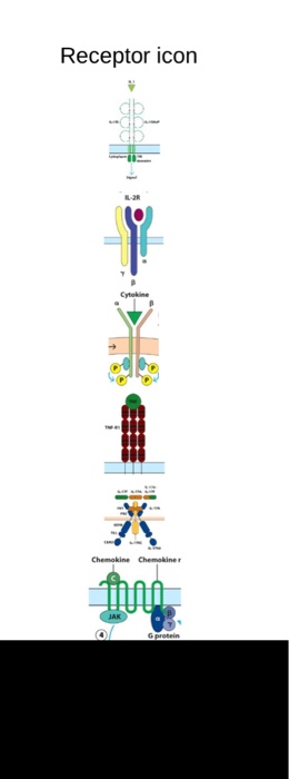Solved for immunology lecture::-why is it important to know | Chegg.com