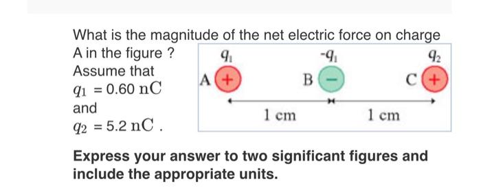 Solved What is the magnitude of the net electric force on | Chegg.com