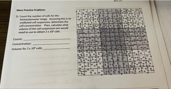 Solved 5) Count the number of cells for this hemocytometer | Chegg.com