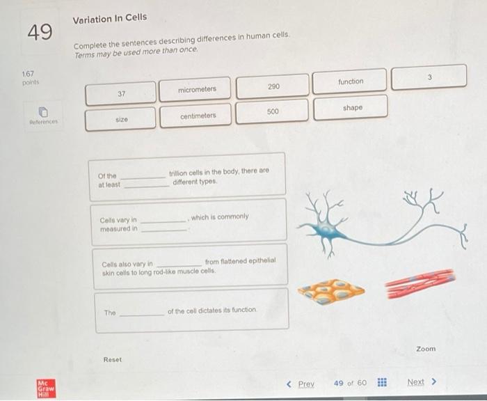 Solved Variation In Cells 49 Complete the sentences | Chegg.com